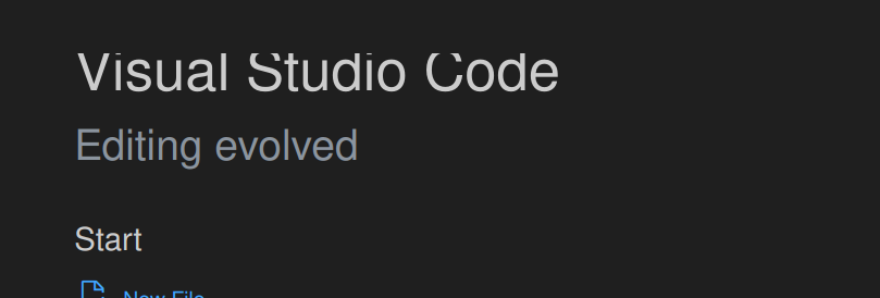 Welcome screen title "Visual Studio Code" cut off at the top running in ...