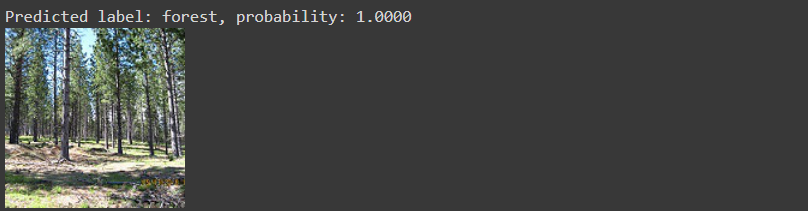 GitHub - Grunt-prog/Image-classification