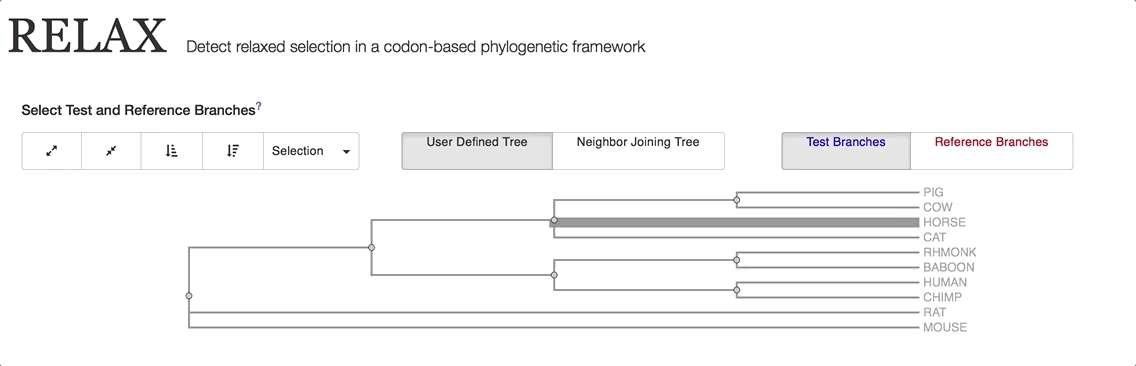 Basic questions related to Datamonkey Selection Tools · Issue #804 · veg/hyphy · GitHub