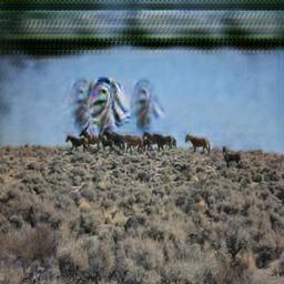 Weird zebra ghost in the generated image background for horse2zebra ...