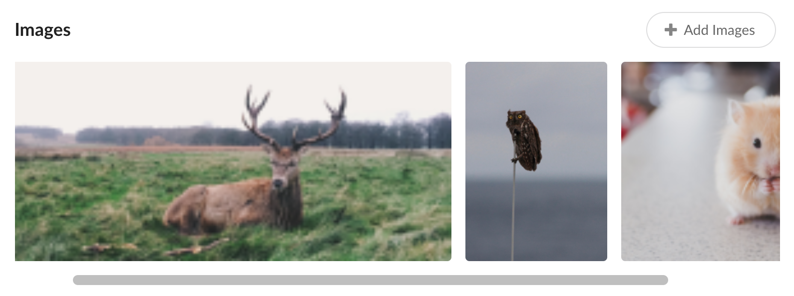 Thumbnail Resizing Constrain Height · Issue #979 · transloadit/uppy ...