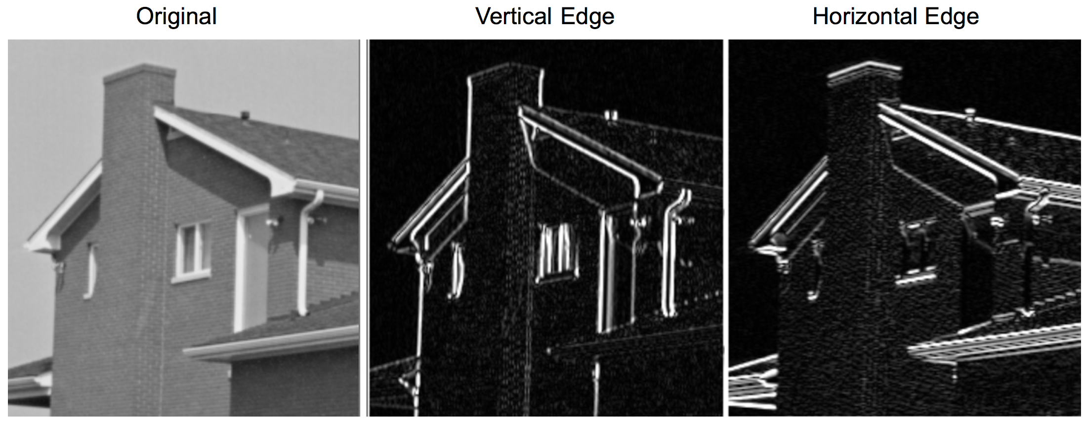 GitHub - ilhamdanu13/Pest-Classification-with-CNN-using-PyTorch