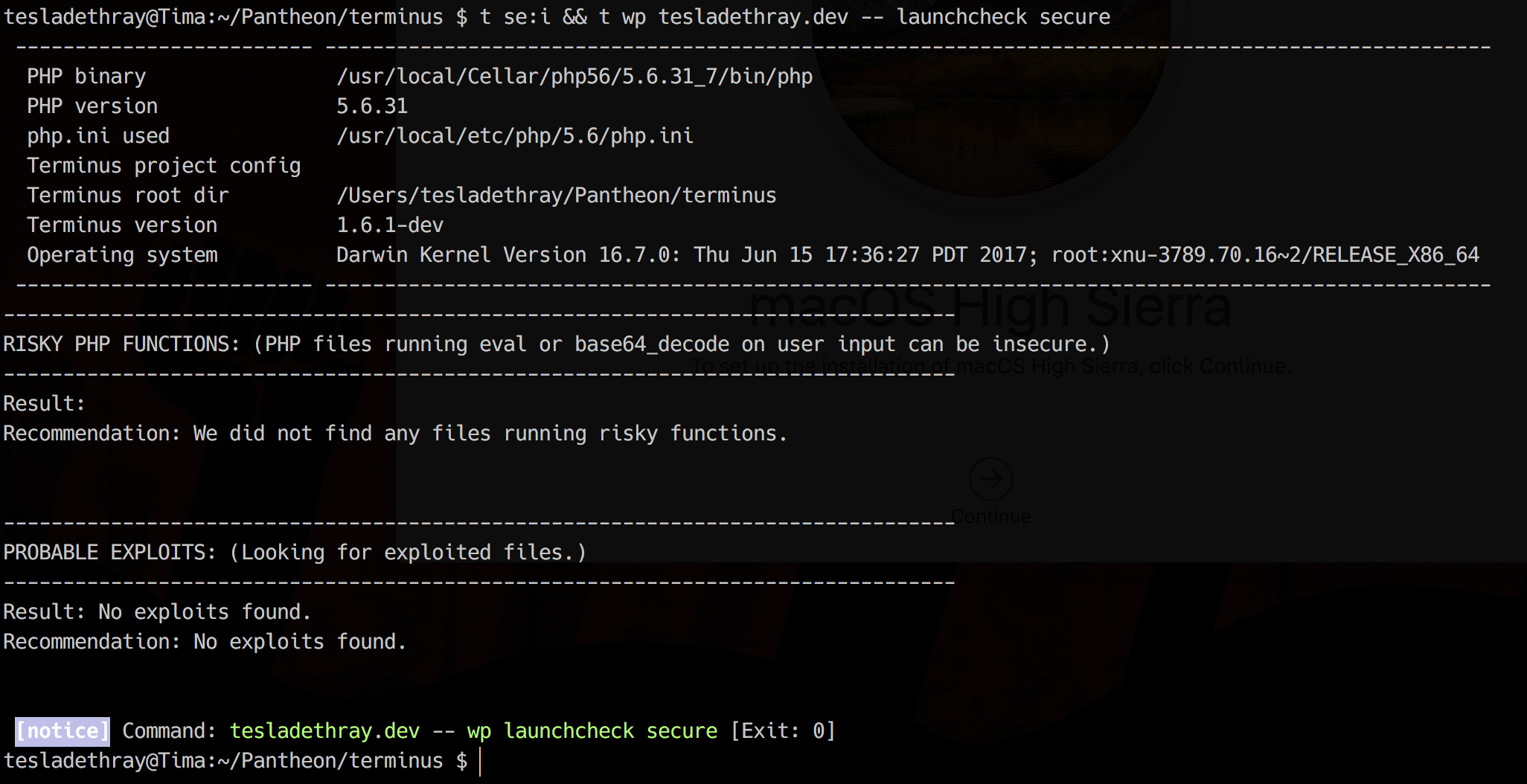 wp launchcheck fails when run via terminus · Issue #1787 · pantheon-systems/terminus · GitHub