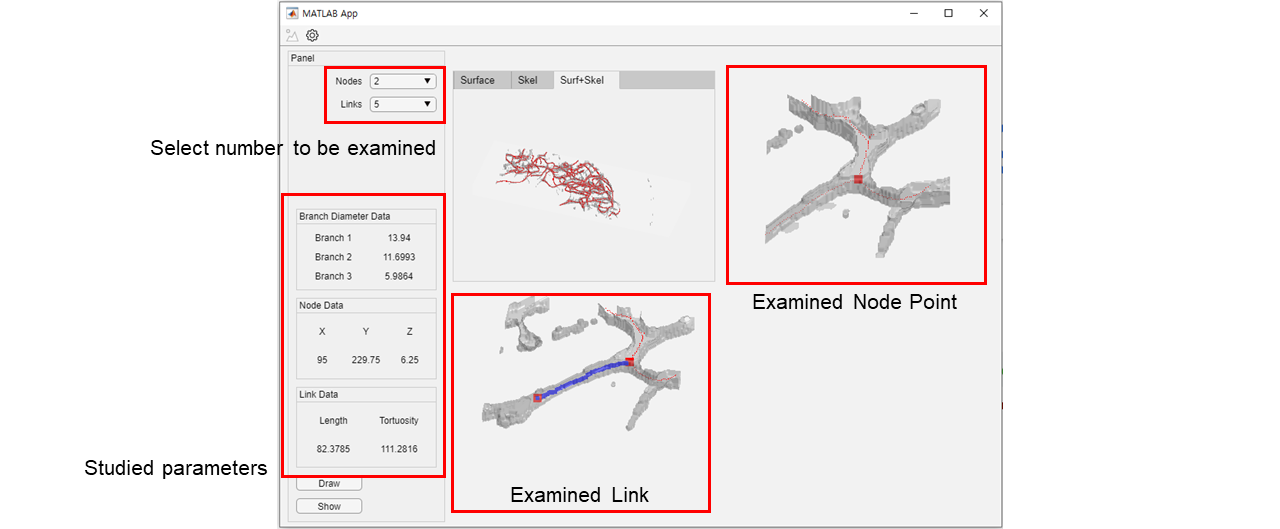 GitHub - won5830/3D-Vessel-Analysis-: A voxel base Matlab application for quantitative analysis ...
