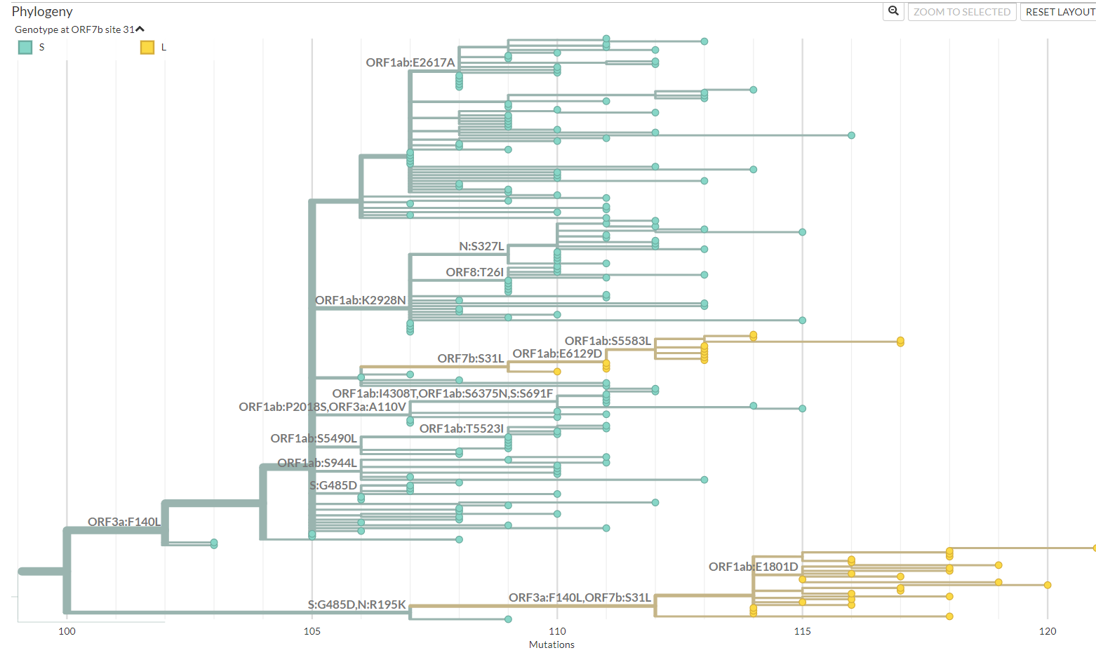XBJ sublineage carrying Orf1b:E1728D, Orf7b:S31L, S:N481- and S:G482S ...