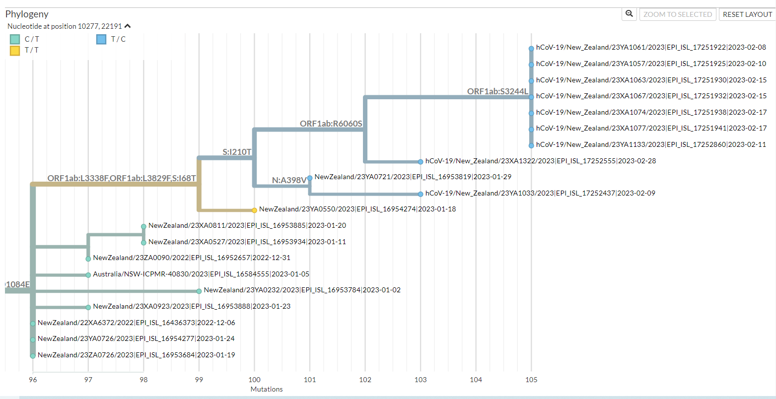 Mini saltation of CH.1.1.11 with Spike I68T, V210A, D1084E (12 seqs as of 2023-03-30, New ...