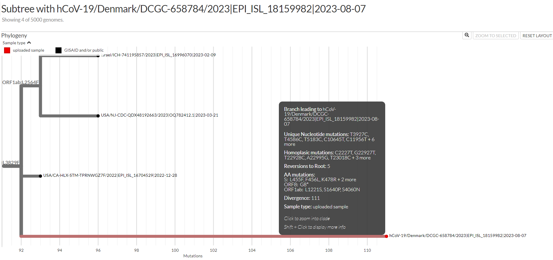 XBB.1.16* x CH.1.1.1* x XBB.1.16* recombinant, singlet, with S:444T ...