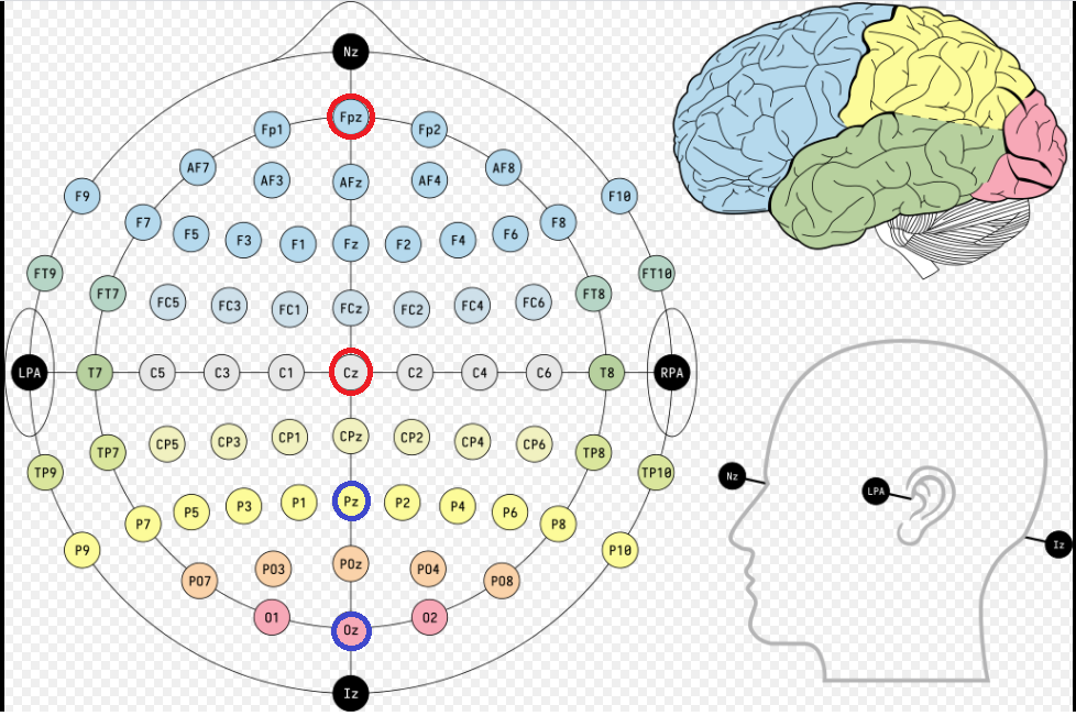 GitHub - sanjuskm05/sleep-stage-classification-evaluation