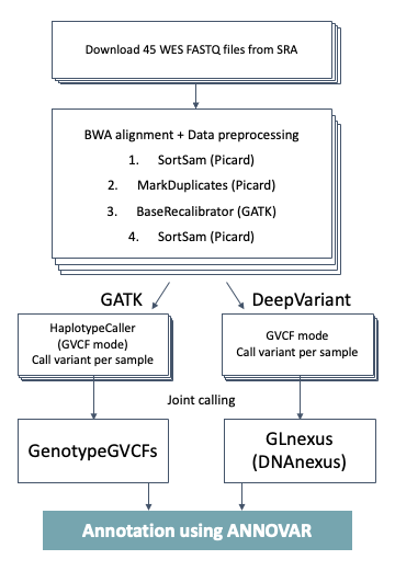 GitHub - Xuan045/NGS-project