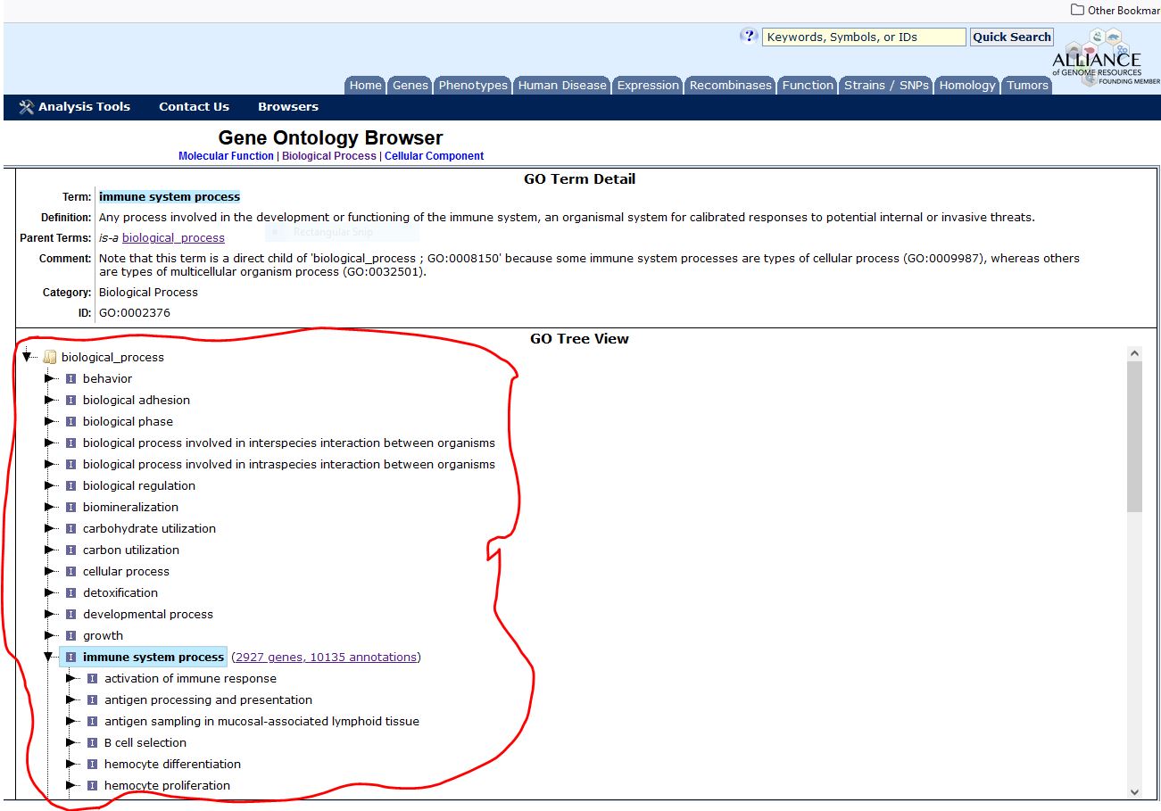 KEGG module gene set enrichment analysis ( gseKEGG) & GO Gene Set ...