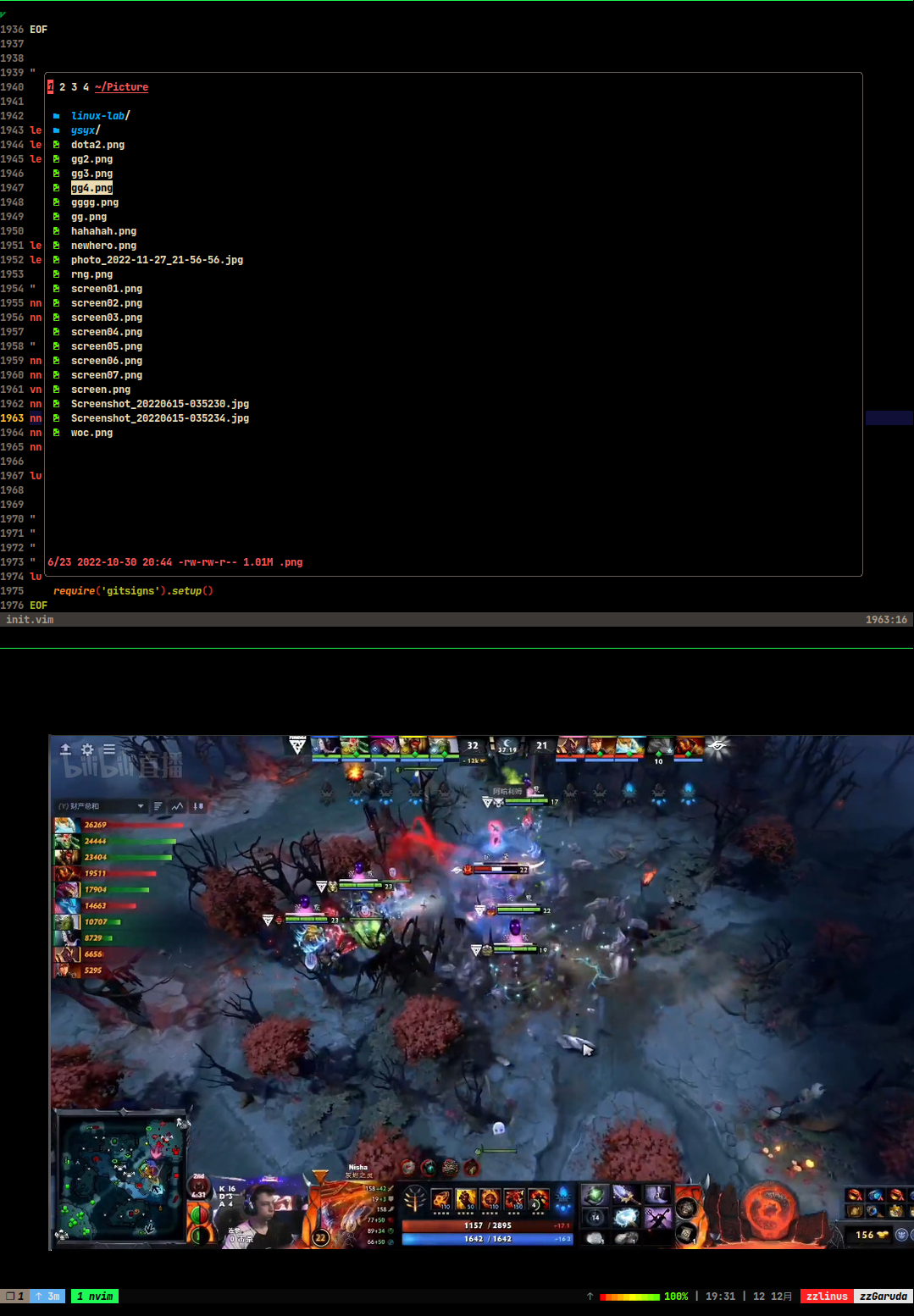 Nested tmux session broke image preview using ueberzug · Issue #1541 ...