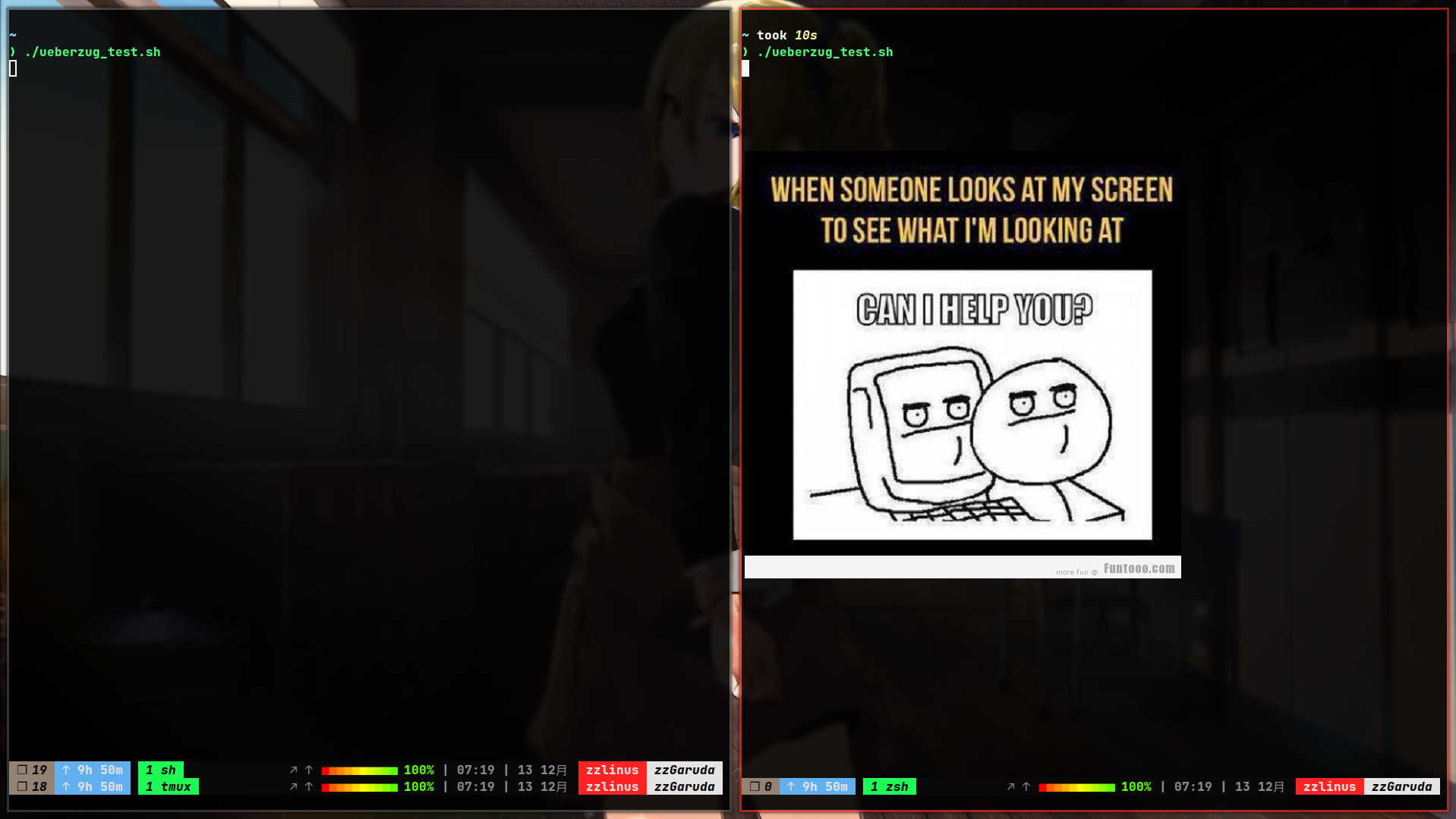 Nested tmux session broke image preview using ueberzug · Issue #1541 · jarun/nnn · GitHub