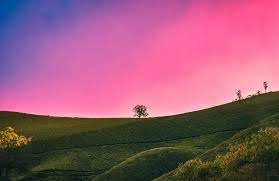 GitHub - jagadeeswar1234/Color-Detection-Using-OpenCV-Python