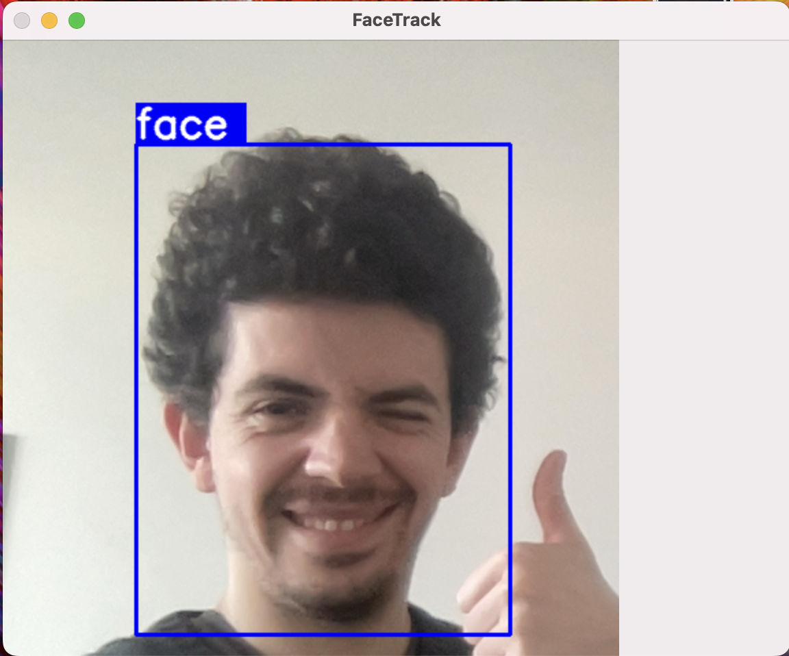 GitHub - Steve389/custom_face_detection_model: Developing a custom face ...