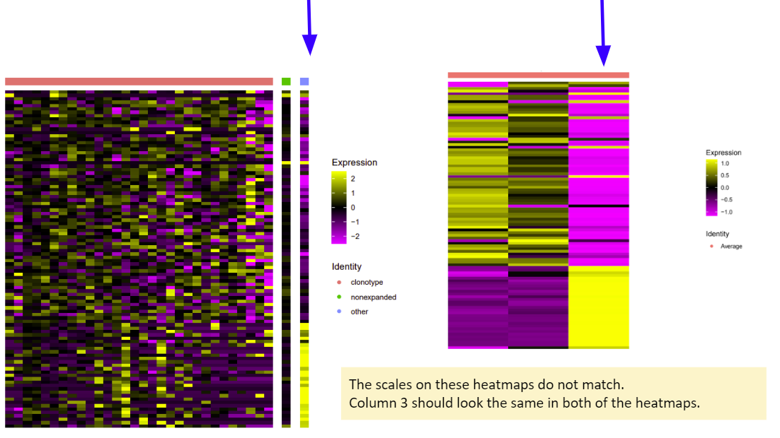 DoHeatmap: Scale Differs when group.by Changes · Issue #6776 ...