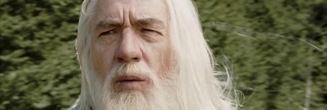 GitHub - julieprunaret/Lord-of-the-face_mastering-Angular: OpenClassRoom's formation | Angular