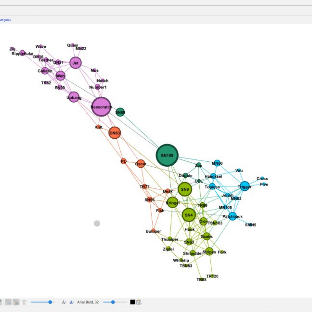 GitHub - NamanVasudeva/Graph-Processing: A repository created for ...