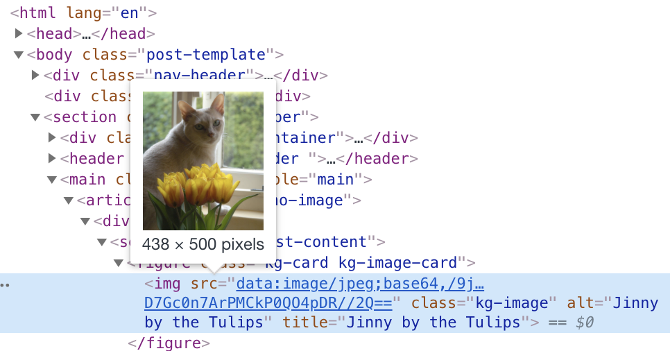 AMP Validation Error: A mandatory attribute is missing form an HTML tag · Issue #11920 ...