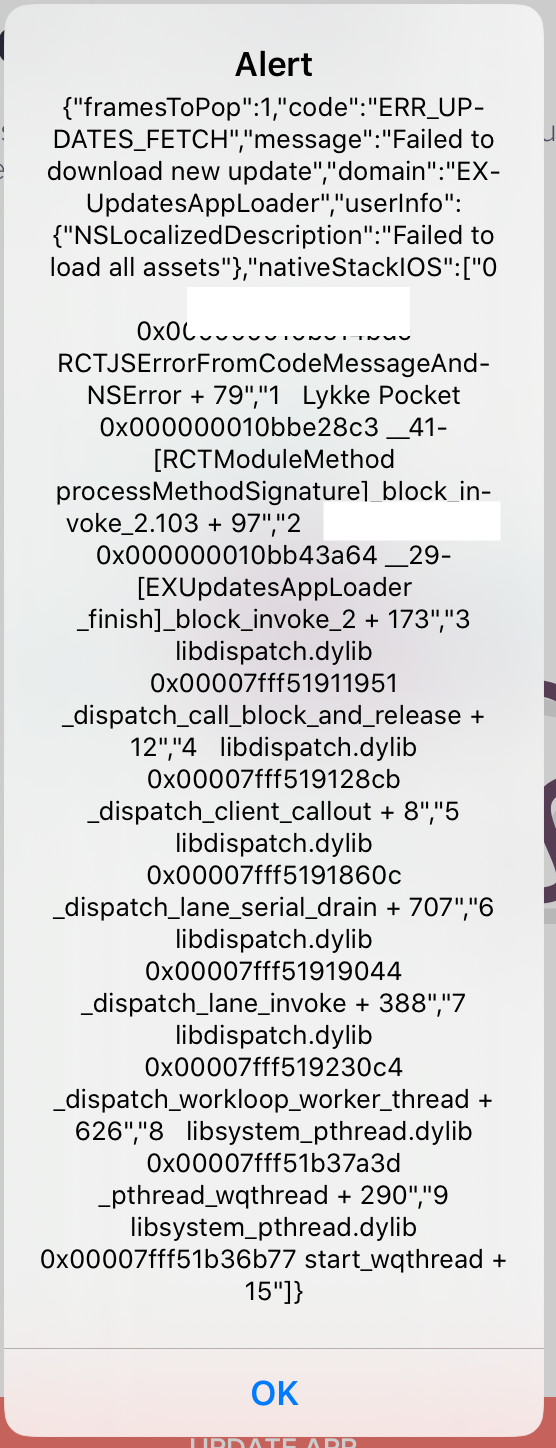 Error Loading Asset [expo-updates] · Issue #8362 · expo/expo · GitHub