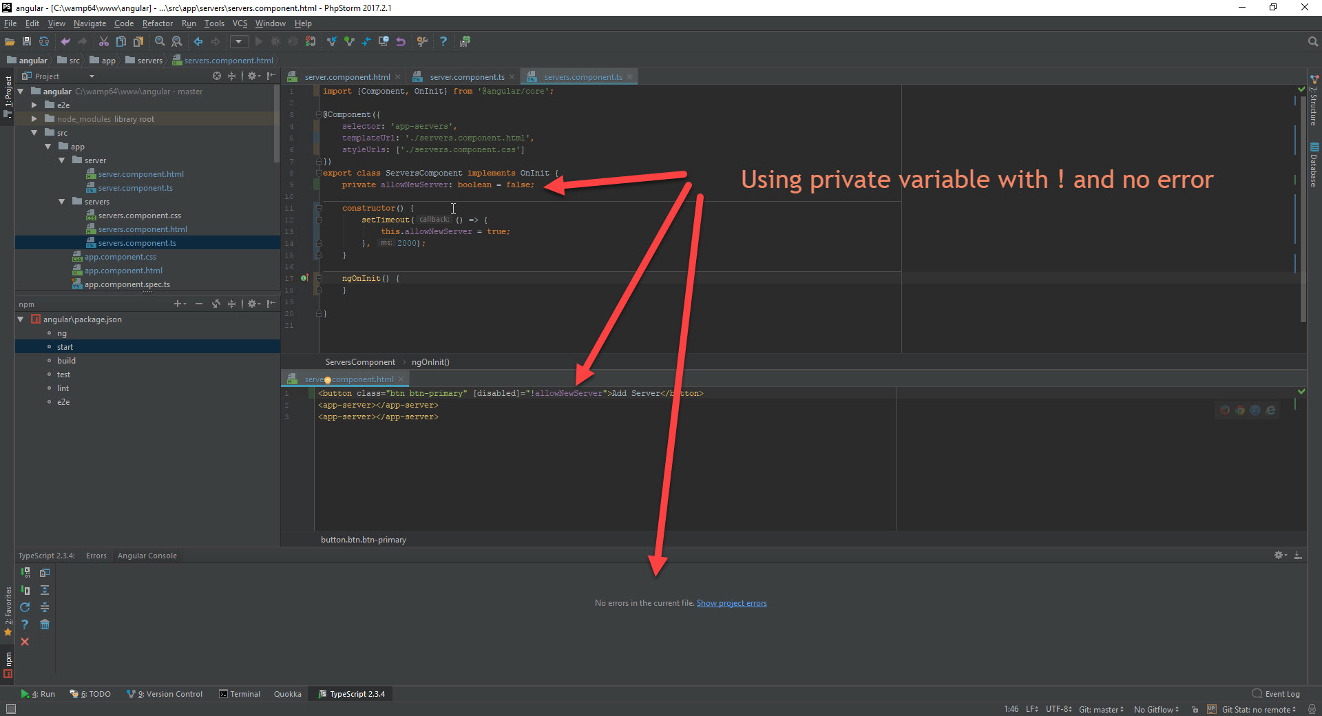 I Can Access A Private Variable But Dont Get An Angular Error · Issue