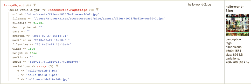 __debugInfo() for $input is empty · Issue #575 · processwire/processwire-issues · GitHub