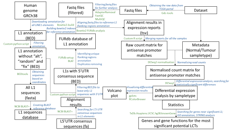 GitHub - mingmary/LCT-analysis: Analysis of LCTs in human genome