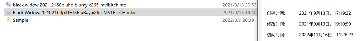 持续不断的在更新同一部影片的字幕 · Issue #547 · ChineseSubFinder/ChineseSubFinder · GitHub