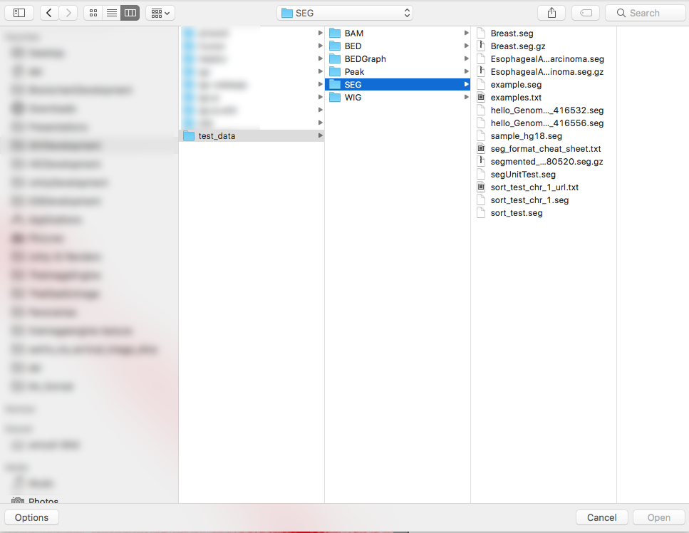 Feature request: API to load local files · Issue #568 · igvteam/igv.js · GitHub