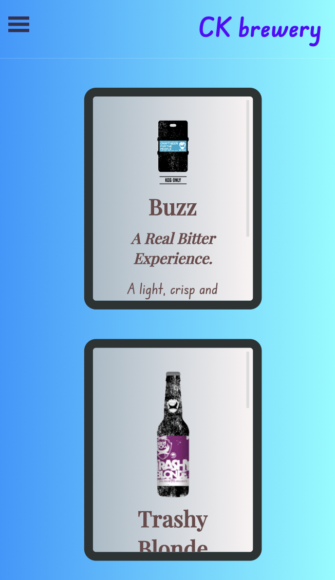 GitHub - chriskokc/punk-api