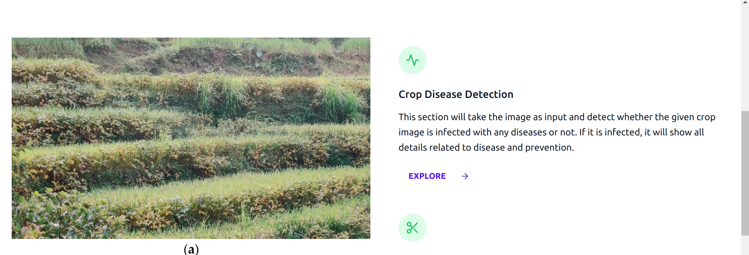 GitHub - Vignesh-2109/AgroVision