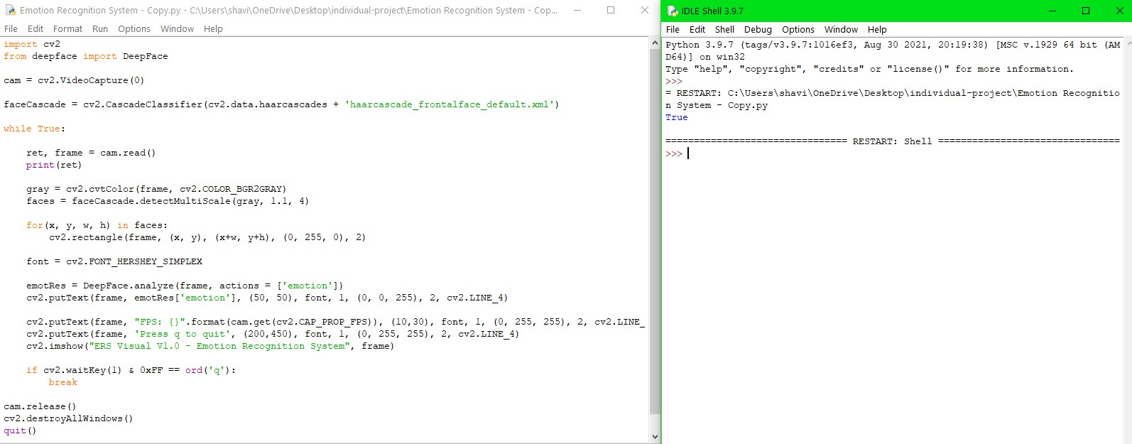 Emotion Detection Not Working · Issue #383 · serengil/deepface · GitHub