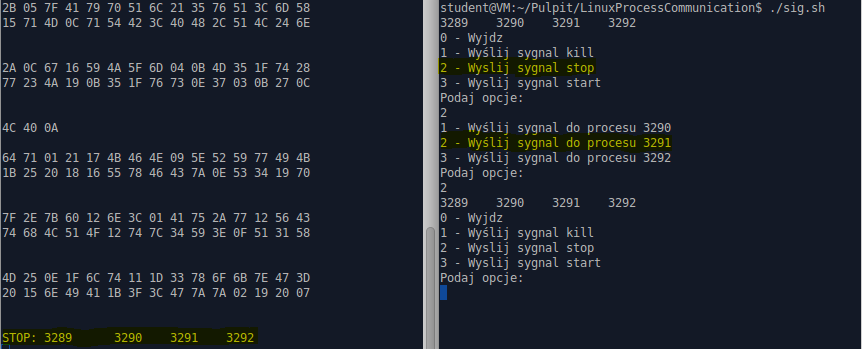 GitHub - IgoDan/LinuxProcessCommunication: Implementation of Linux inter-process communication ...