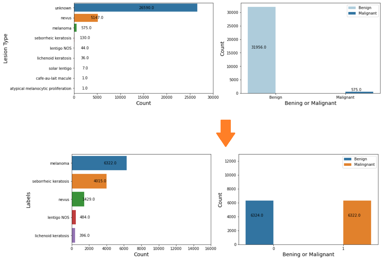 GitHub - DevAlvaroF/ISIC-Image-Classification: ISIC 2017 and 2020 Image Classification based on ...