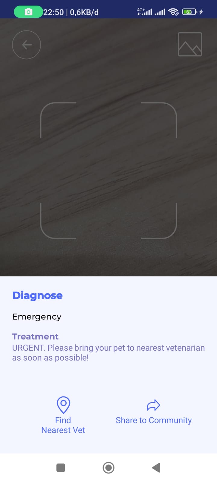 GitHub - C23-PS435-bangkit/PurrfectAid