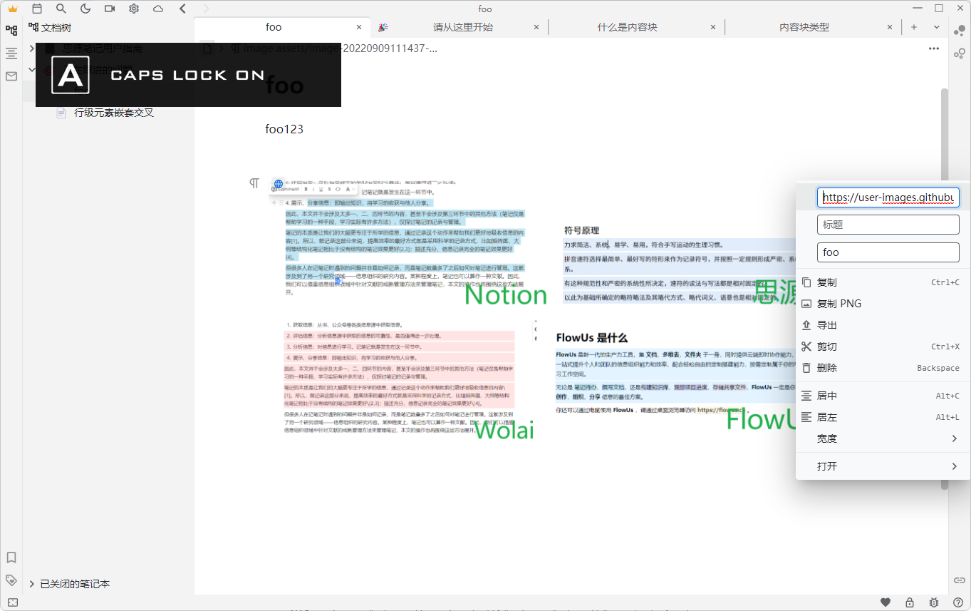 使用github图床，无法显示图片 · Issue #5851 · siyuan-note/siyuan · GitHub