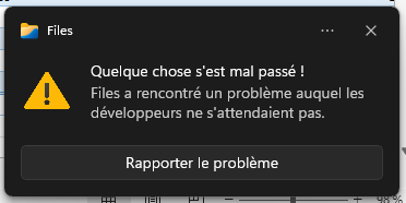 Files crashes when renaming an item in the tiles layout · Issue #8055 · files-community/Files ...