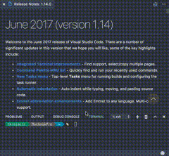 Regression June 2017: Flickering when resizing window or resizing terminal panel · Issue #30460 ...