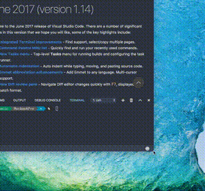 Regression June 2017: Flickering when resizing window or resizing terminal panel · Issue #30460 ...