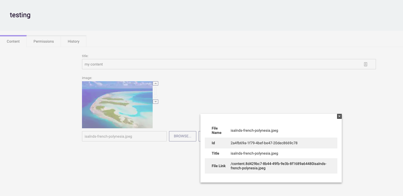 Image fields don't work in velocity with dotAssets · Issue #22704 · dotCMS/core · GitHub