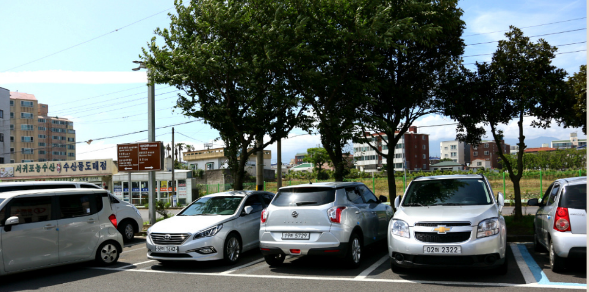 GitHub - KangminLim/yolov4_ppocr