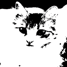 GitHub - aishawaziry/Computer-Vision-Tasks