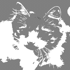 GitHub - aishawaziry/Computer-Vision-Tasks