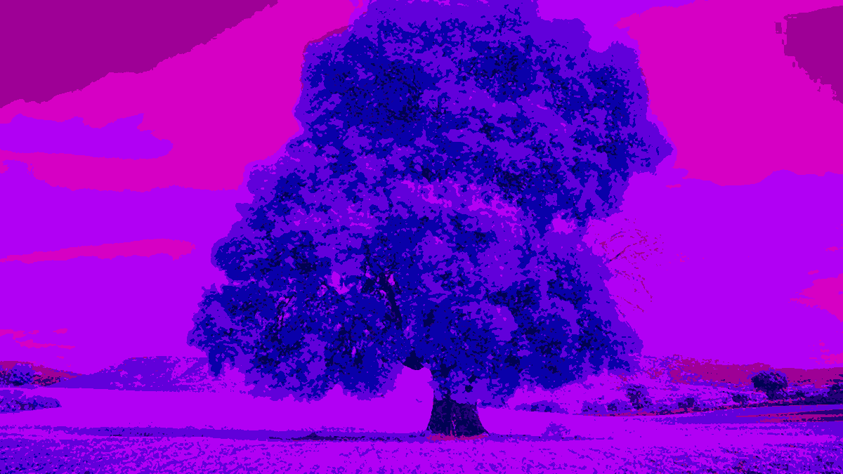 GitHub - aishawaziry/Computer-Vision-Tasks