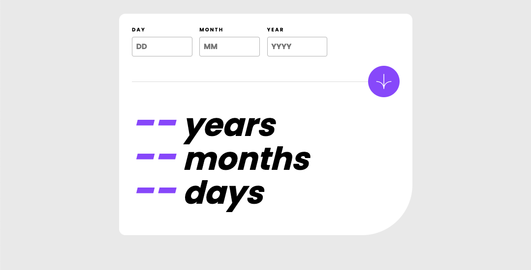 GitHub - Borzar/angular-age-calculator: learn angular