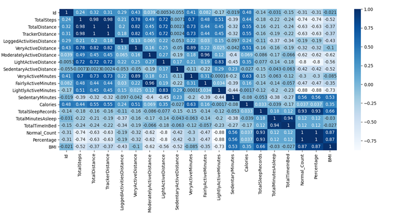 GitHub - drincon02/analisis-bellabeat-python