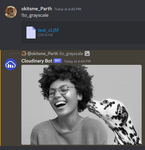 GitHub - codingis4noobs2/Cloudinary-discord-bot: A discord bot which can help you work ...