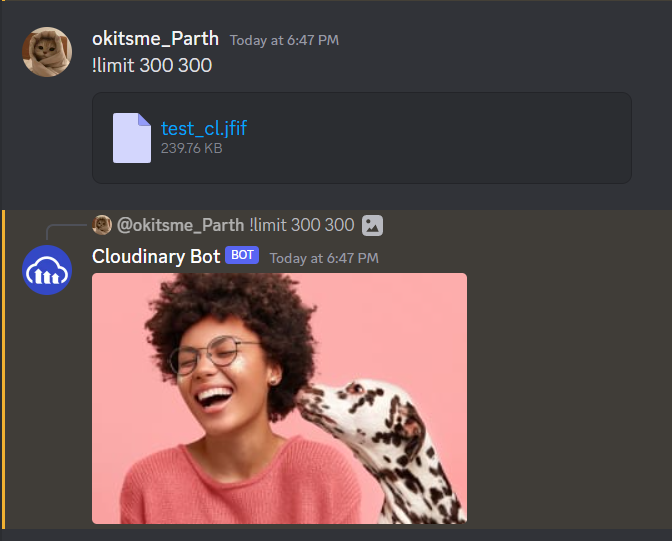 GitHub - codingis4noobs2/Cloudinary-discord-bot: A discord bot which can help you work ...