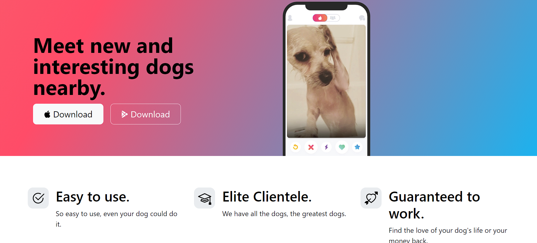 GitHub - EliyaRabia/TinDog: Everyone knows the familiar and well-known dating site Tinder, it's ...