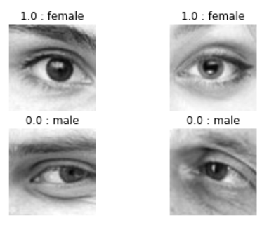 GitHub - ramsundaram101/Eye-Gender-Predictor: Predict Gender from Eye ...