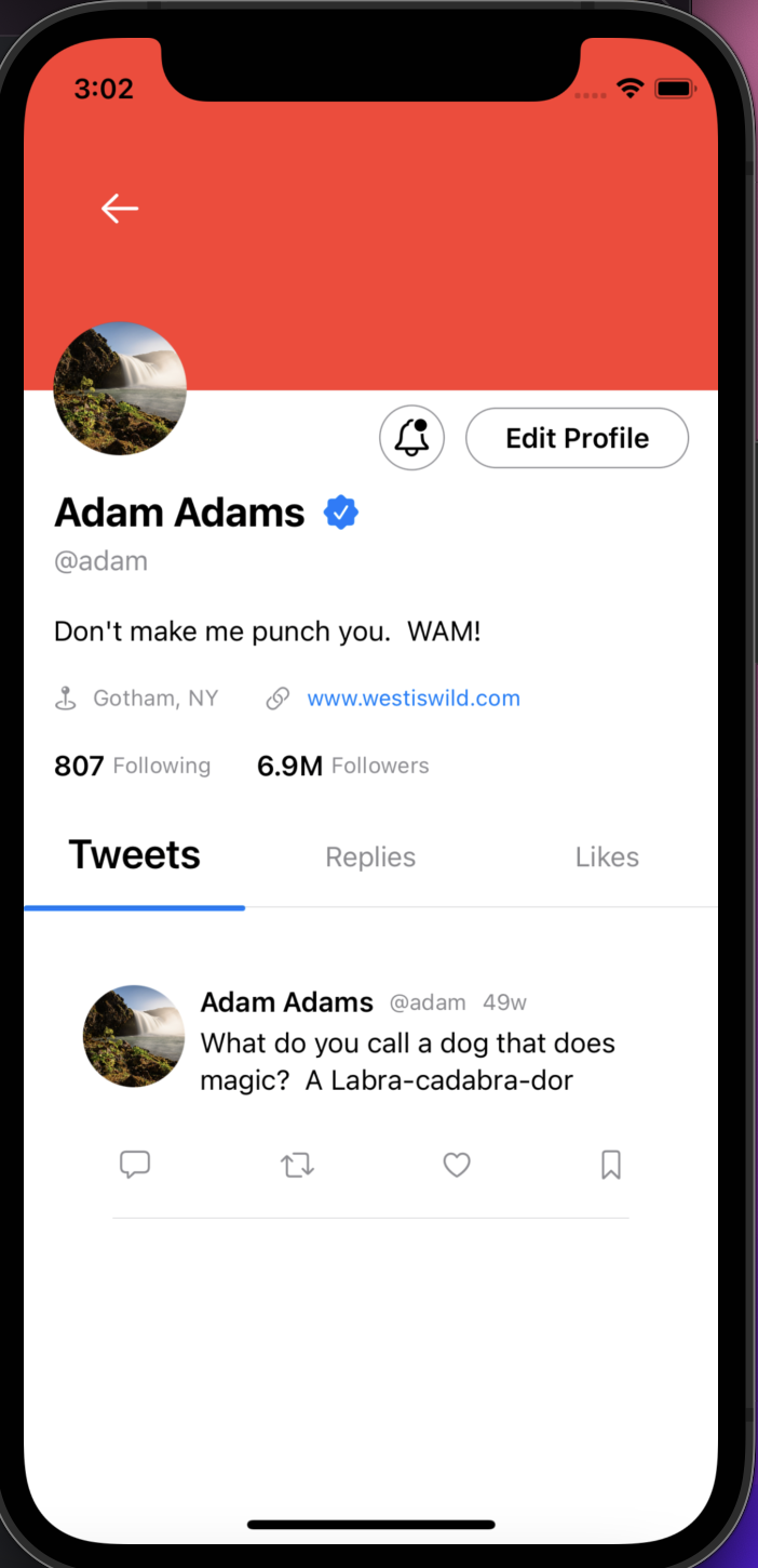 GitHub - AdamsCodeAndProjects/TweetProgram: SwiftUI Twitter. Fully functional.